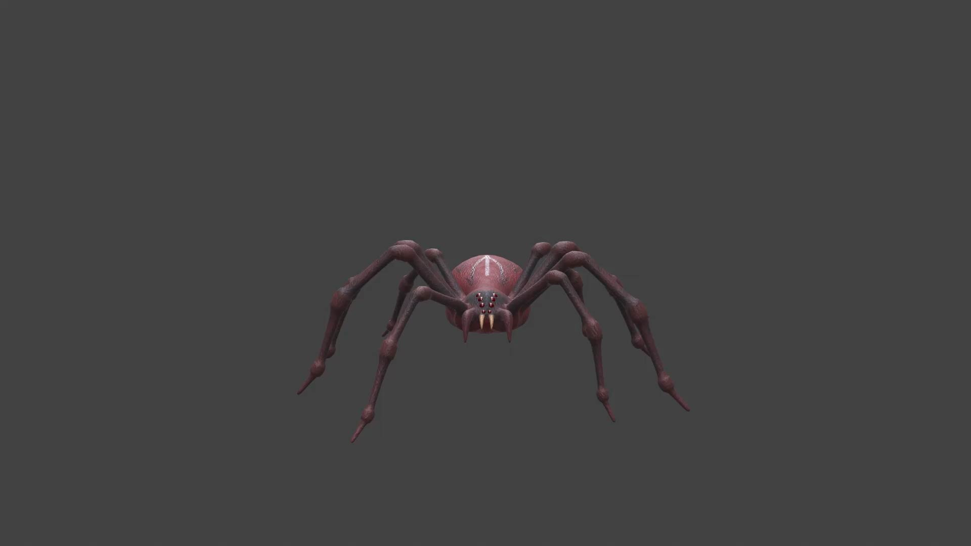 Spider Rigged 3D Model - TurboSquid 1588398
