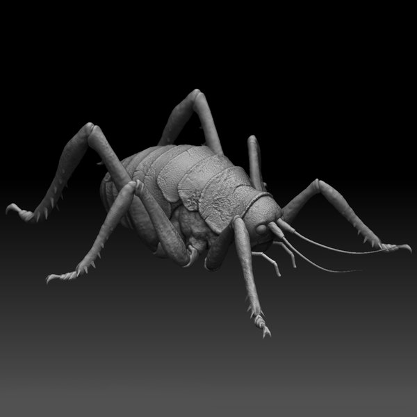 modelo 3d Weta - TurboSquid 888314