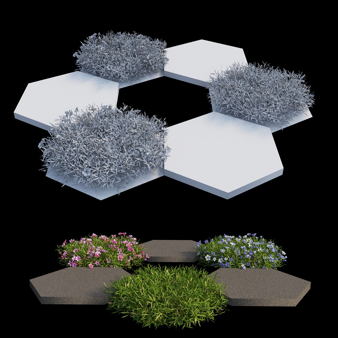 3D Plant Flower Set 14 Model - TurboSquid 1536535