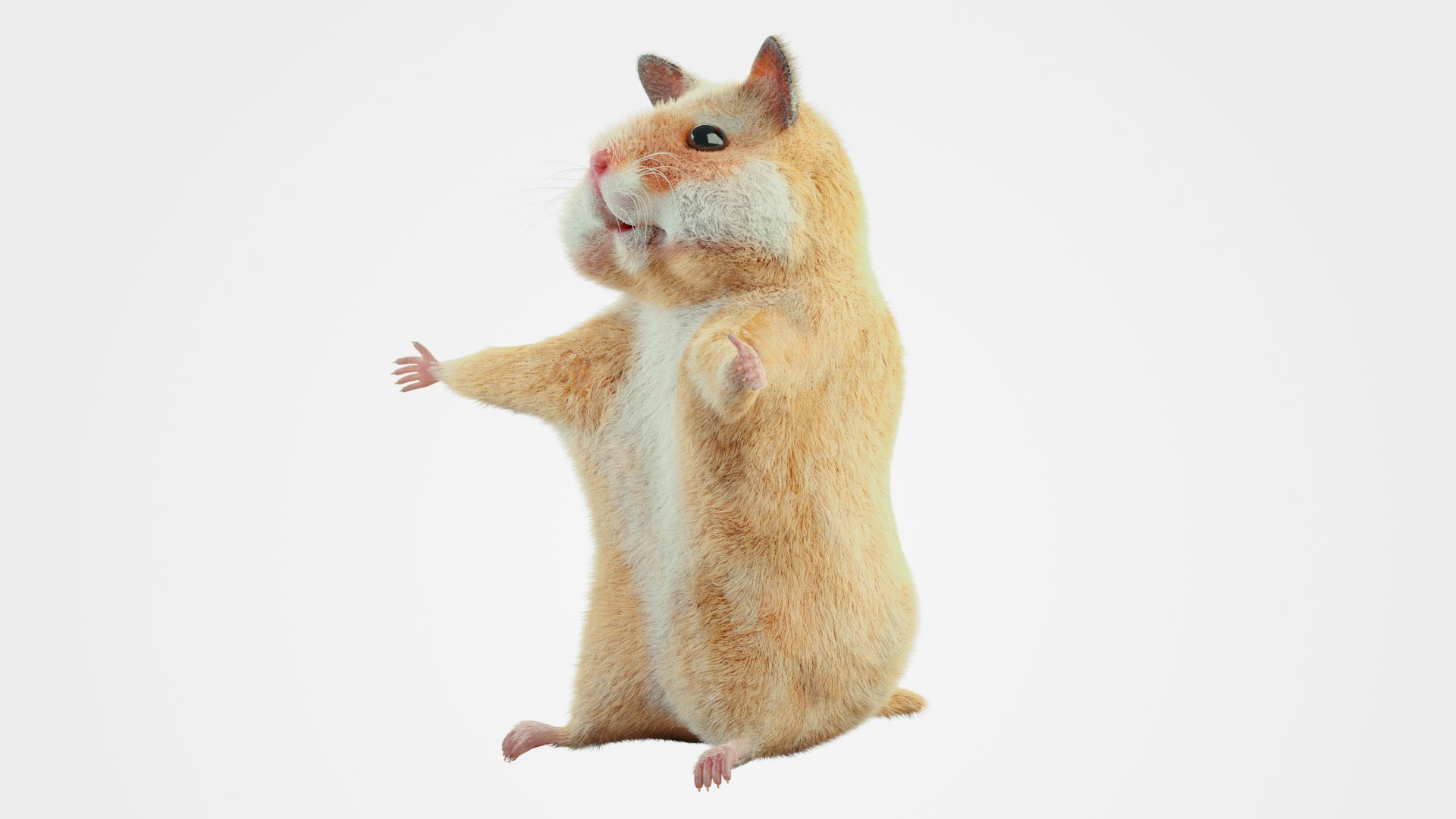3D Cute Hamster Model - TurboSquid 1999636