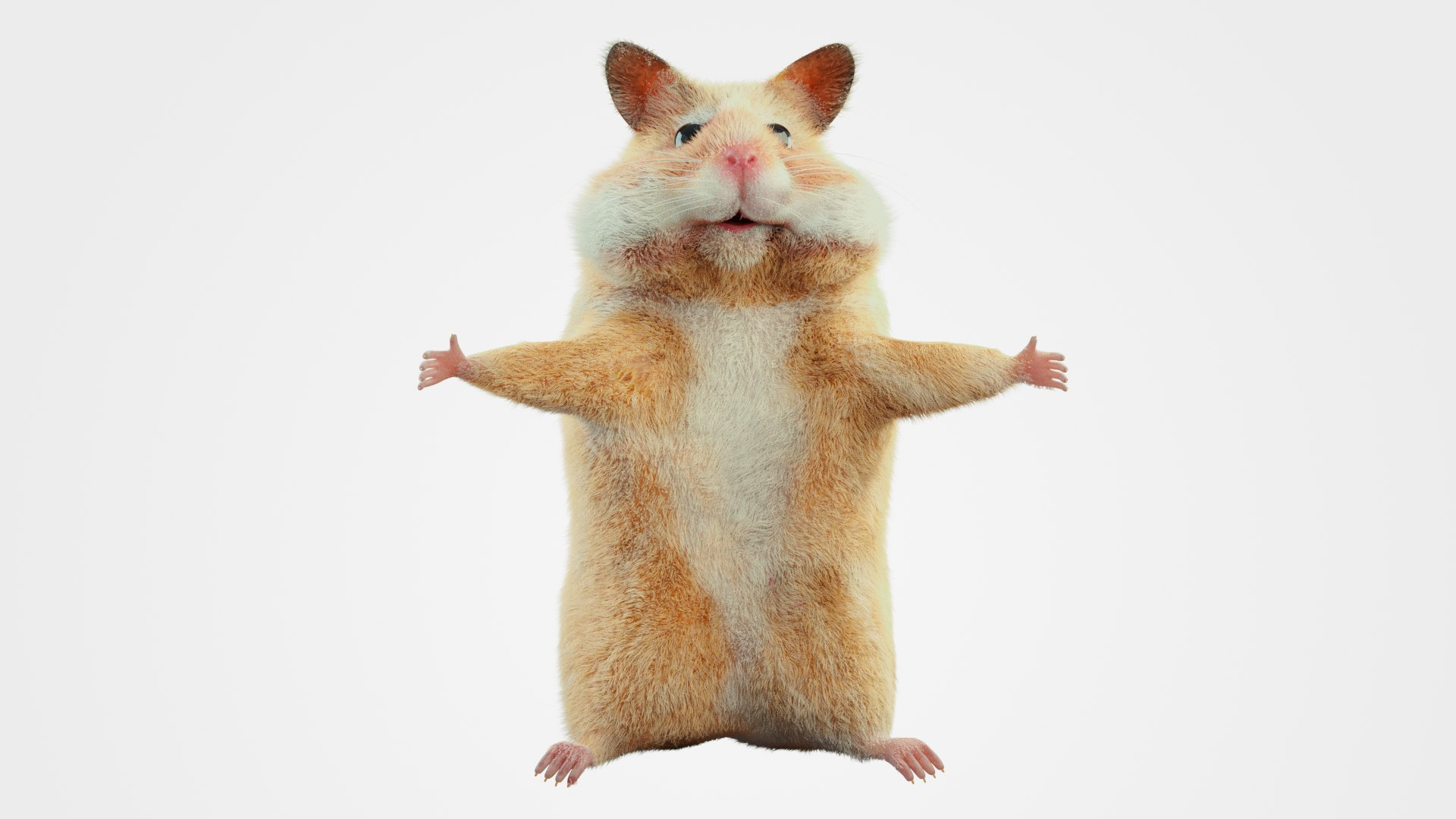 3D Cute Hamster Model - TurboSquid 1999636