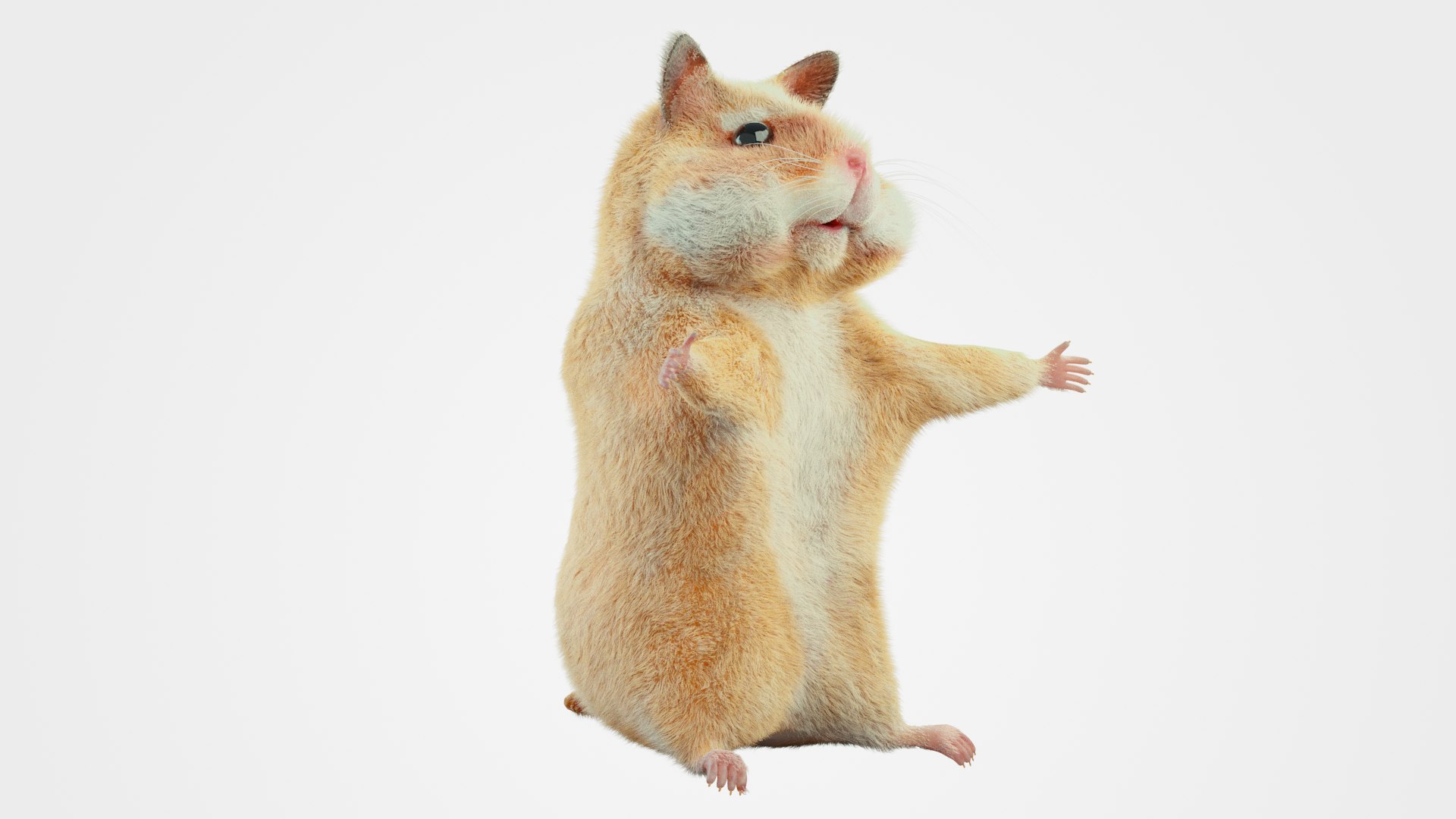 3D Cute Hamster Model - TurboSquid 1999636