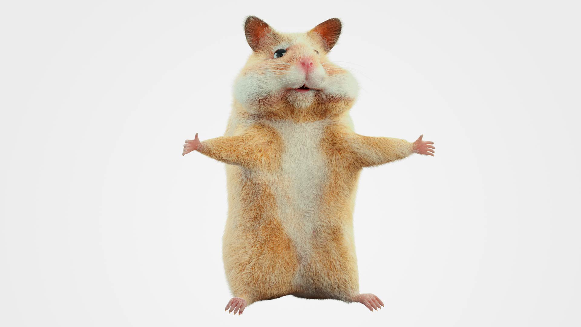 3D Cute Hamster Model - TurboSquid 1999636