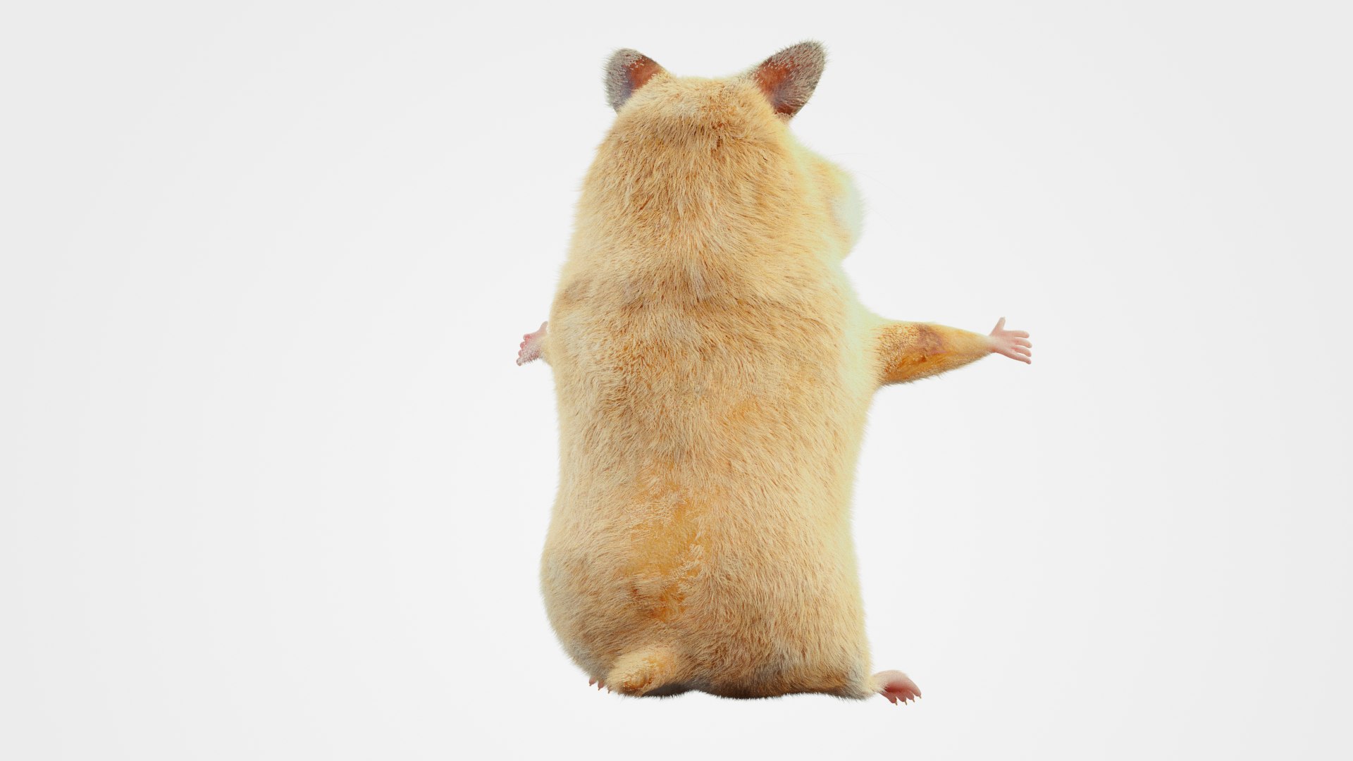 3D Cute Hamster Model - TurboSquid 1999636