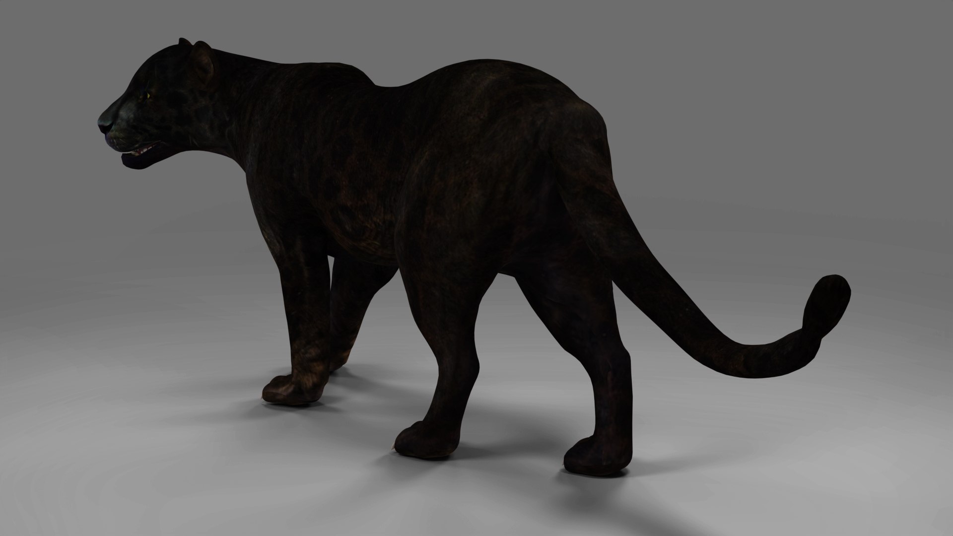Black Panther Rigged In Blender 3D Model - TurboSquid 2096296