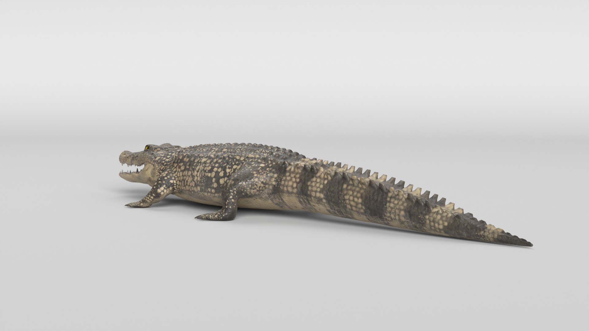 3D Crocodile - TurboSquid 2126269