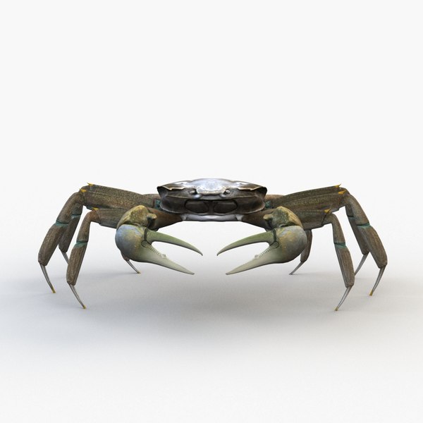 Crab male rigged model - TurboSquid 1485070