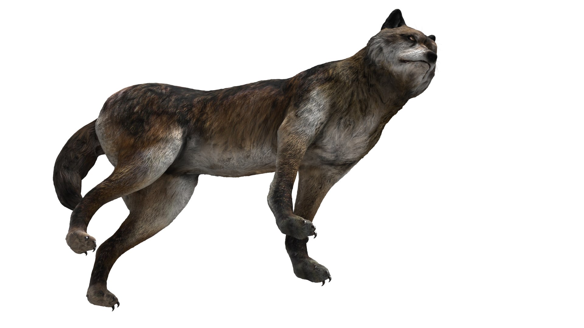 Wolf Beast 3D - TurboSquid 1457672