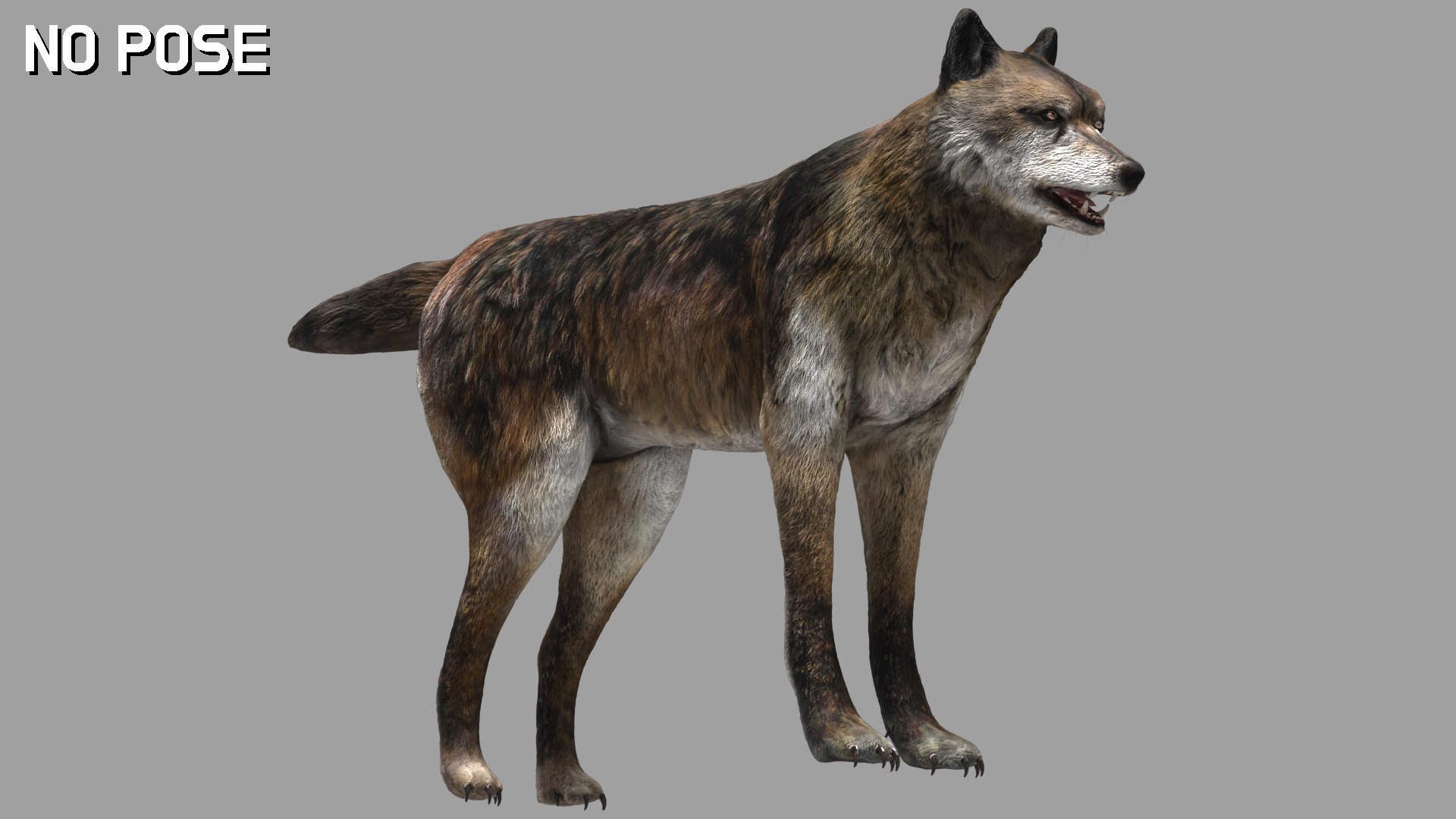 Wolf Beast 3D - TurboSquid 1457672