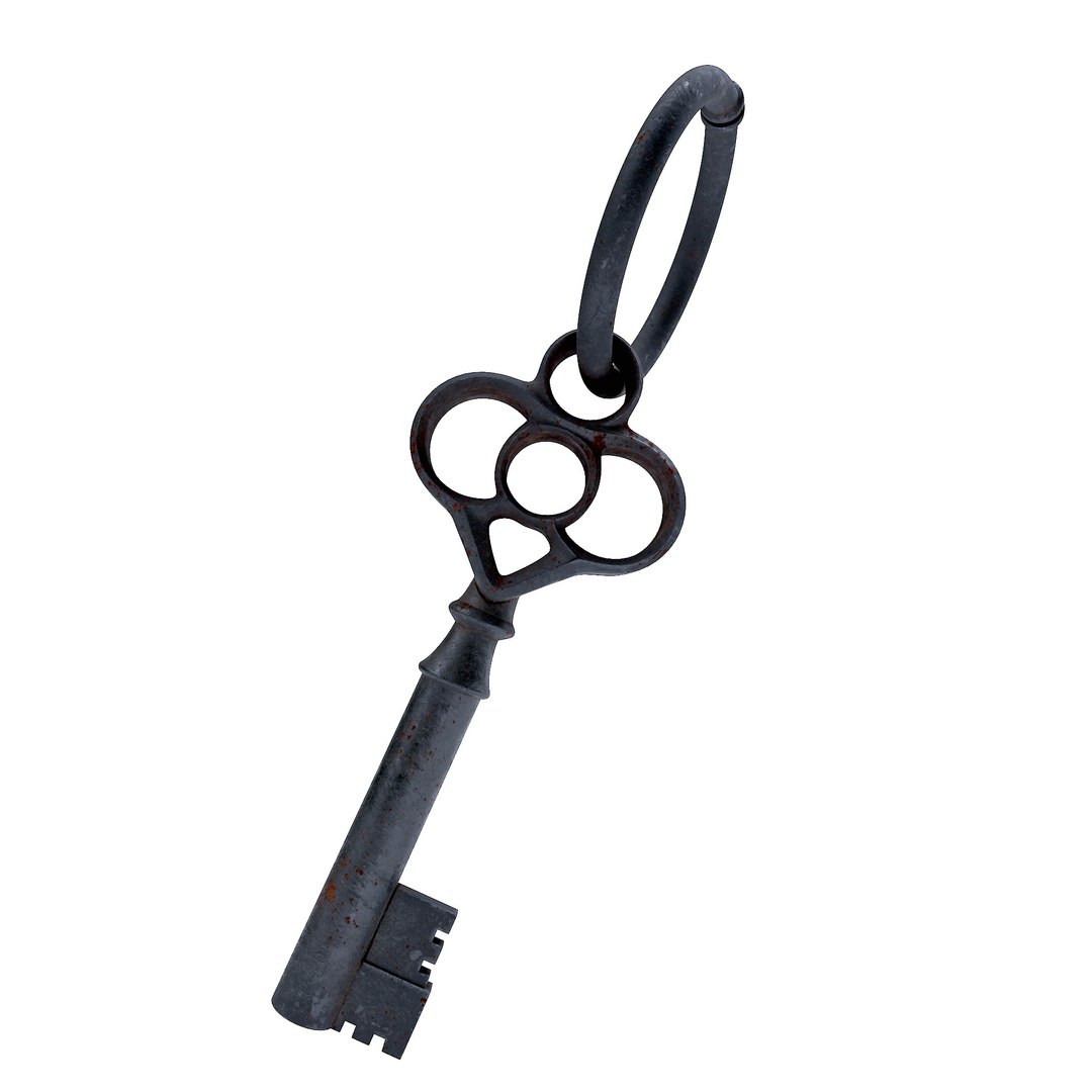 Skeleton key 3dmodel 3D model - TurboSquid 1982518