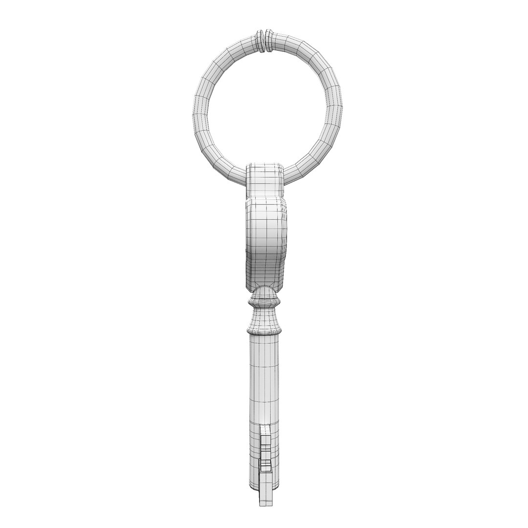 Skeleton key 3dmodel 3D model - TurboSquid 1982518