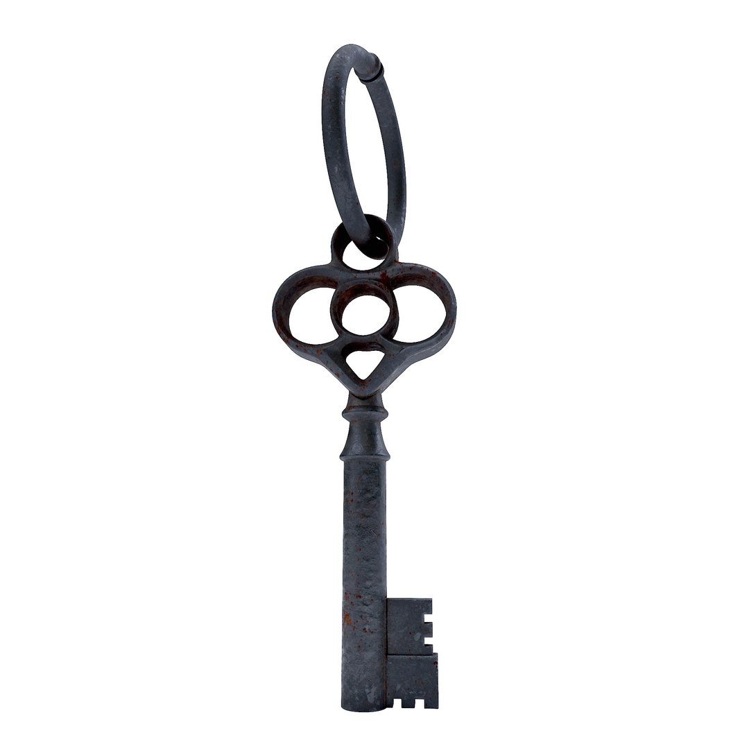 Skeleton key 3dmodel 3D model - TurboSquid 1982518