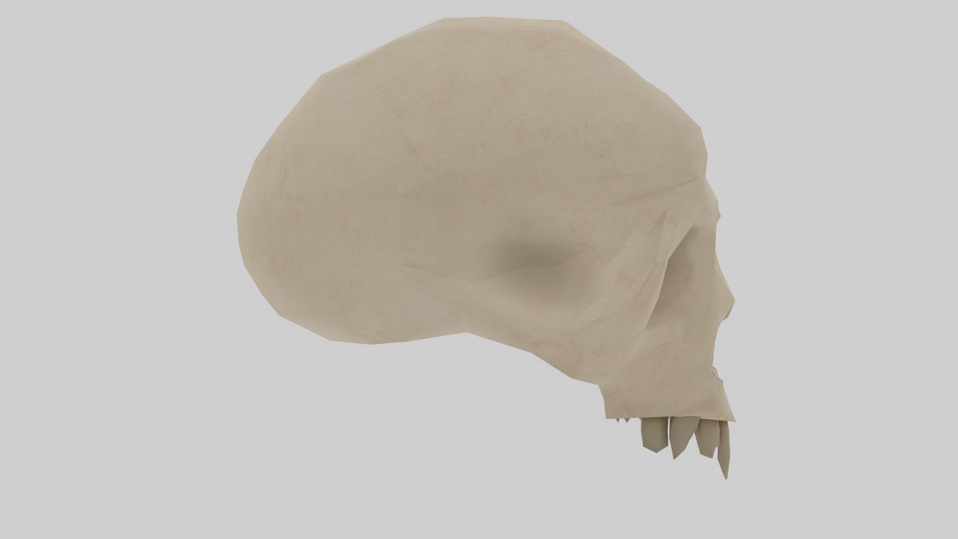 3D Model Low Poly Skull 3d Model - TurboSquid 1925611