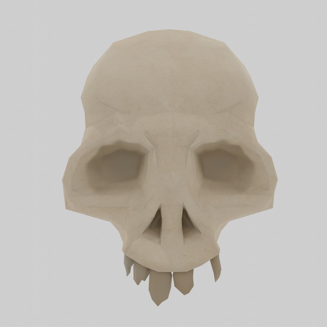 3D Model Low Poly Skull 3d Model - TurboSquid 1925611