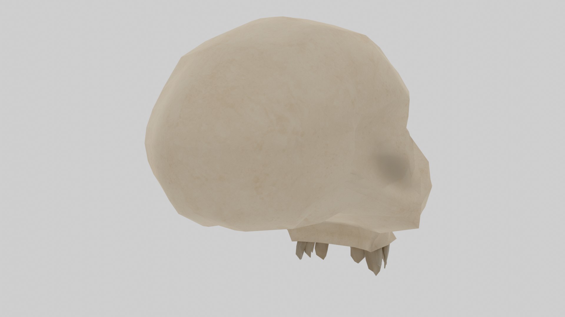 3D Model Low Poly Skull 3d Model - TurboSquid 1925611