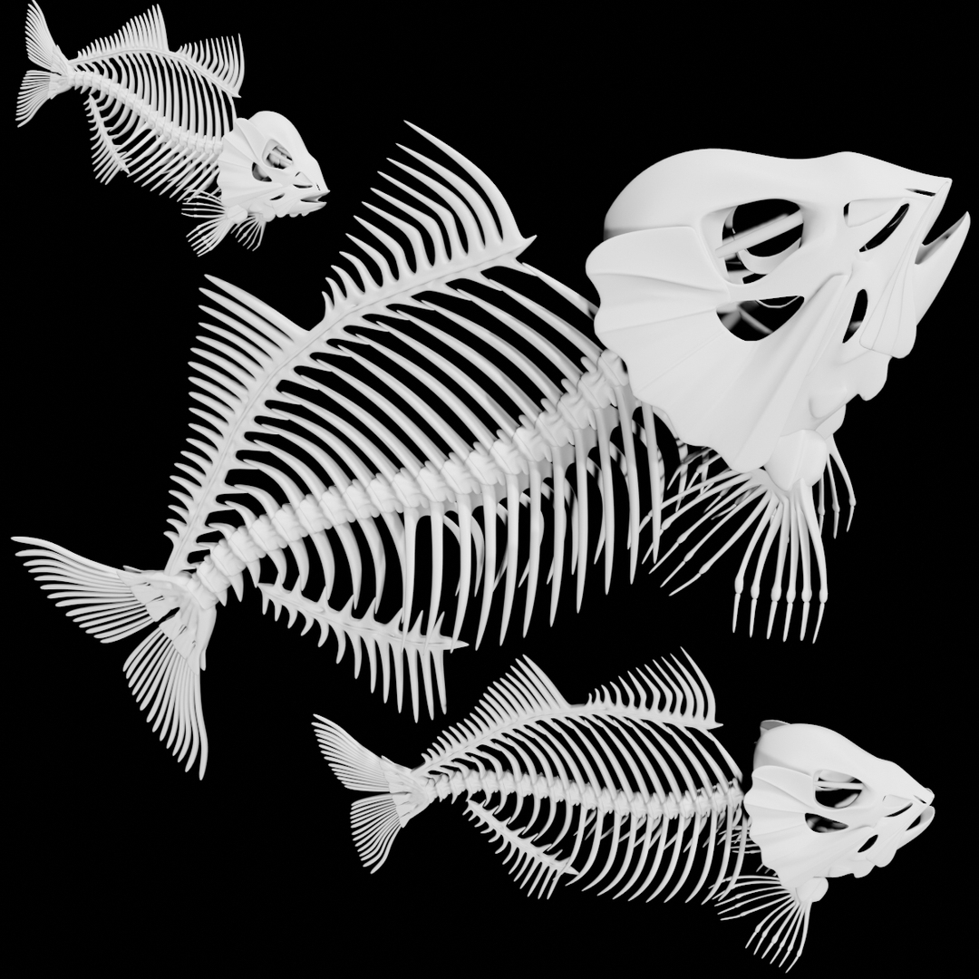 3D Fish Skeleton model - TurboSquid 1820092