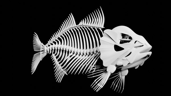 3D Fish Skeleton model - TurboSquid 1820092