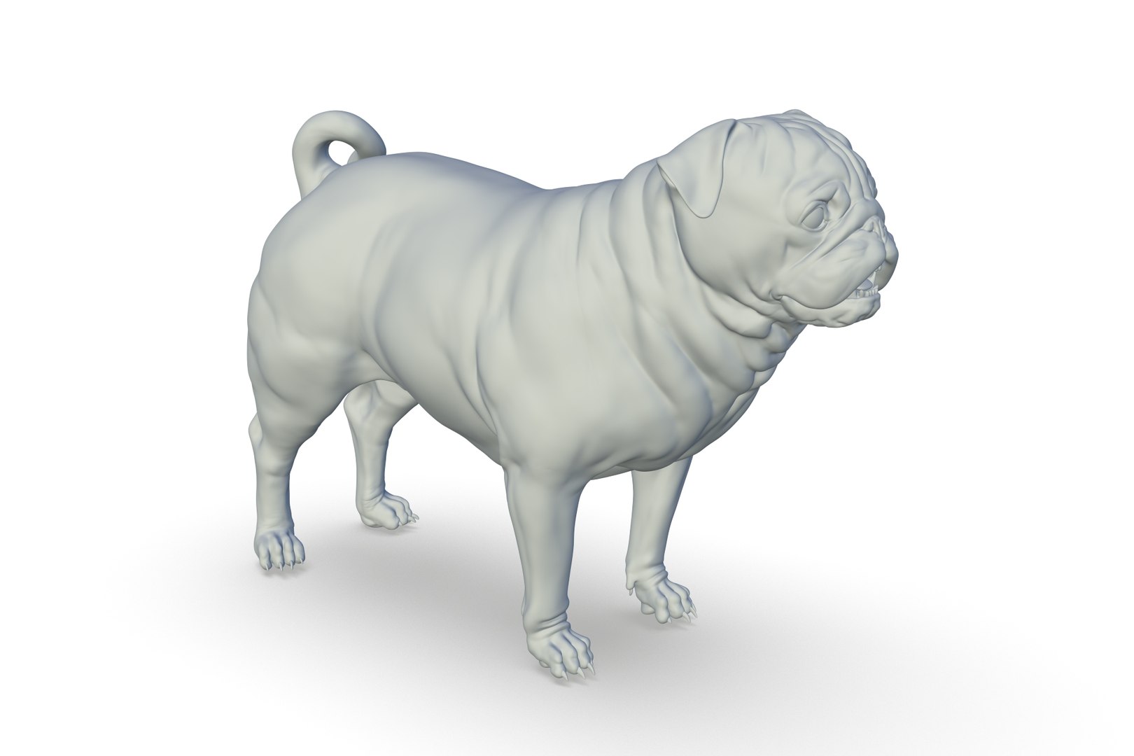 Pug Model - TurboSquid 2217281