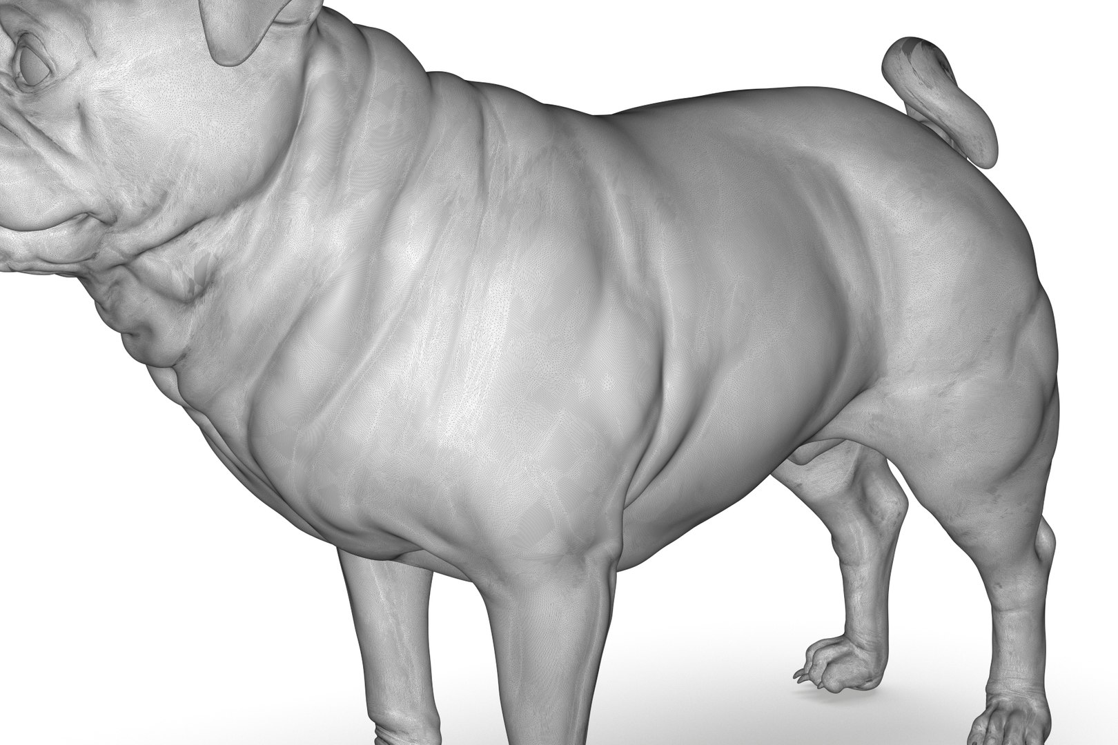 Pug Model - TurboSquid 2217281