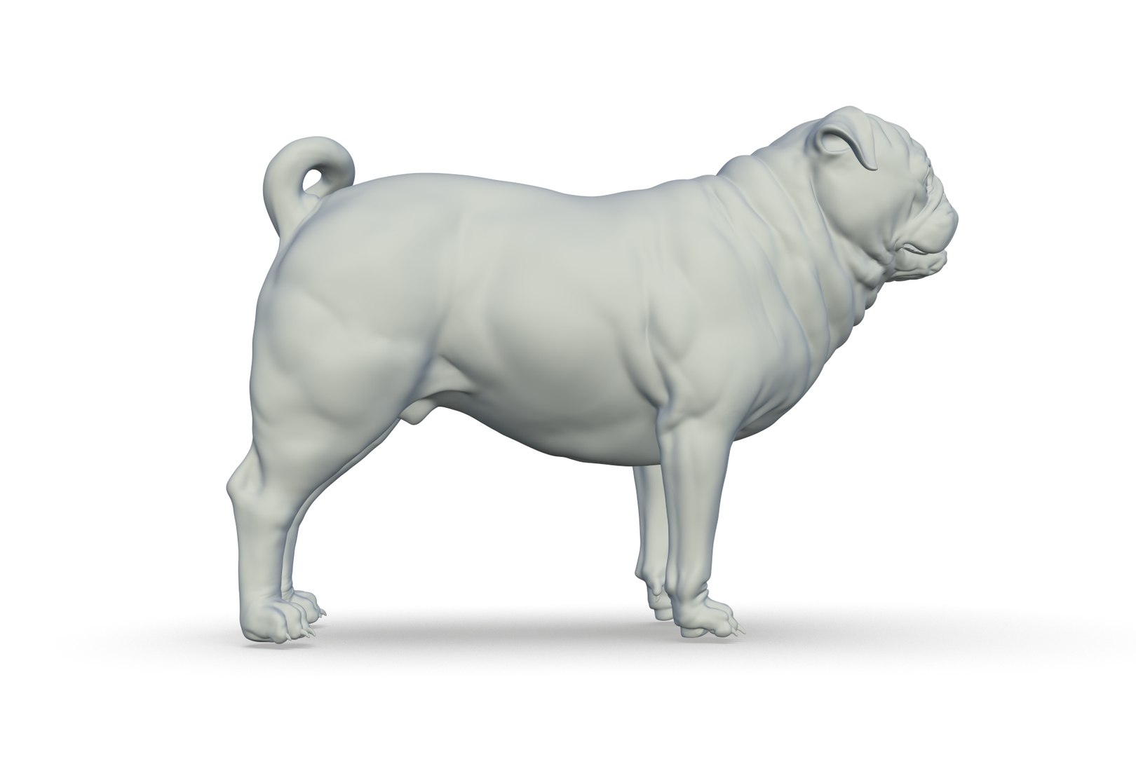 Pug Model - TurboSquid 2217281