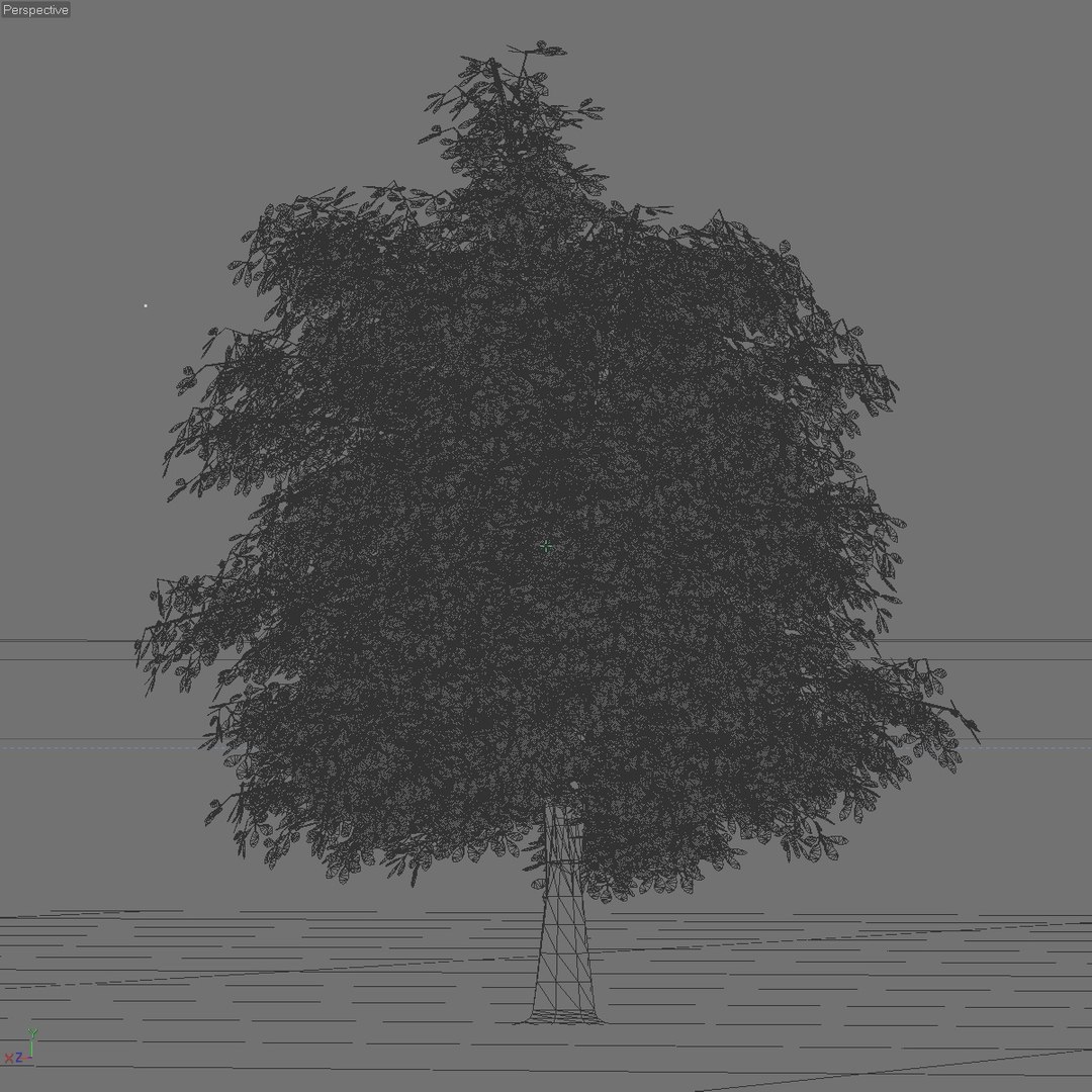 3d model of plane tree
