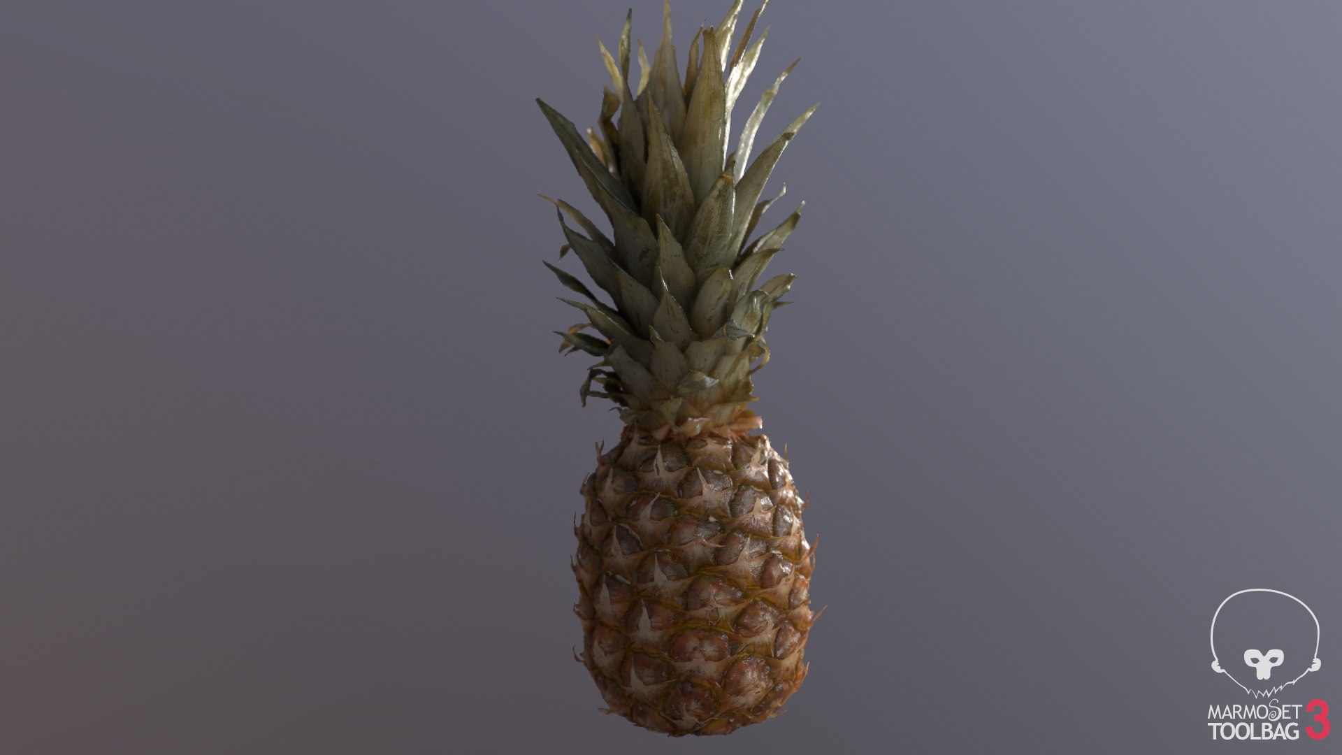Pineapple pine apple 3D model - TurboSquid 1666756