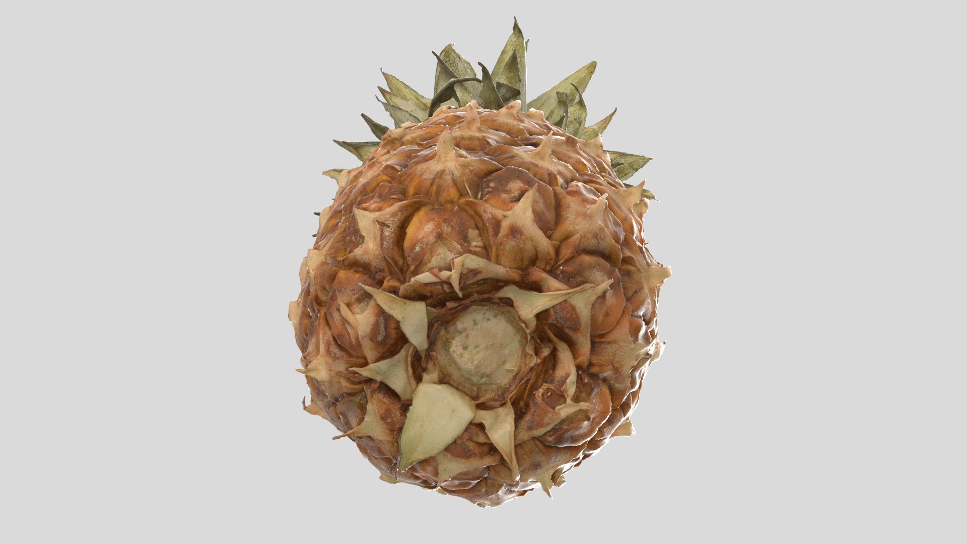 Pineapple pine apple 3D model - TurboSquid 1666756
