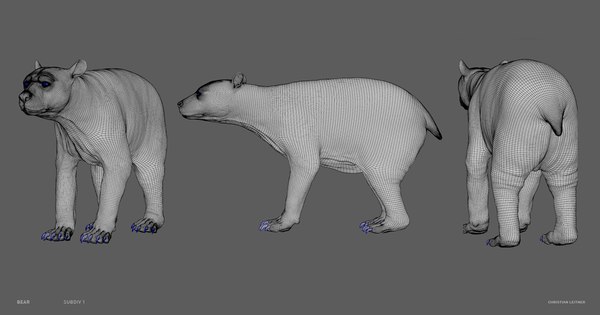 Bear skeleton muscles 3D model - TurboSquid 1547136