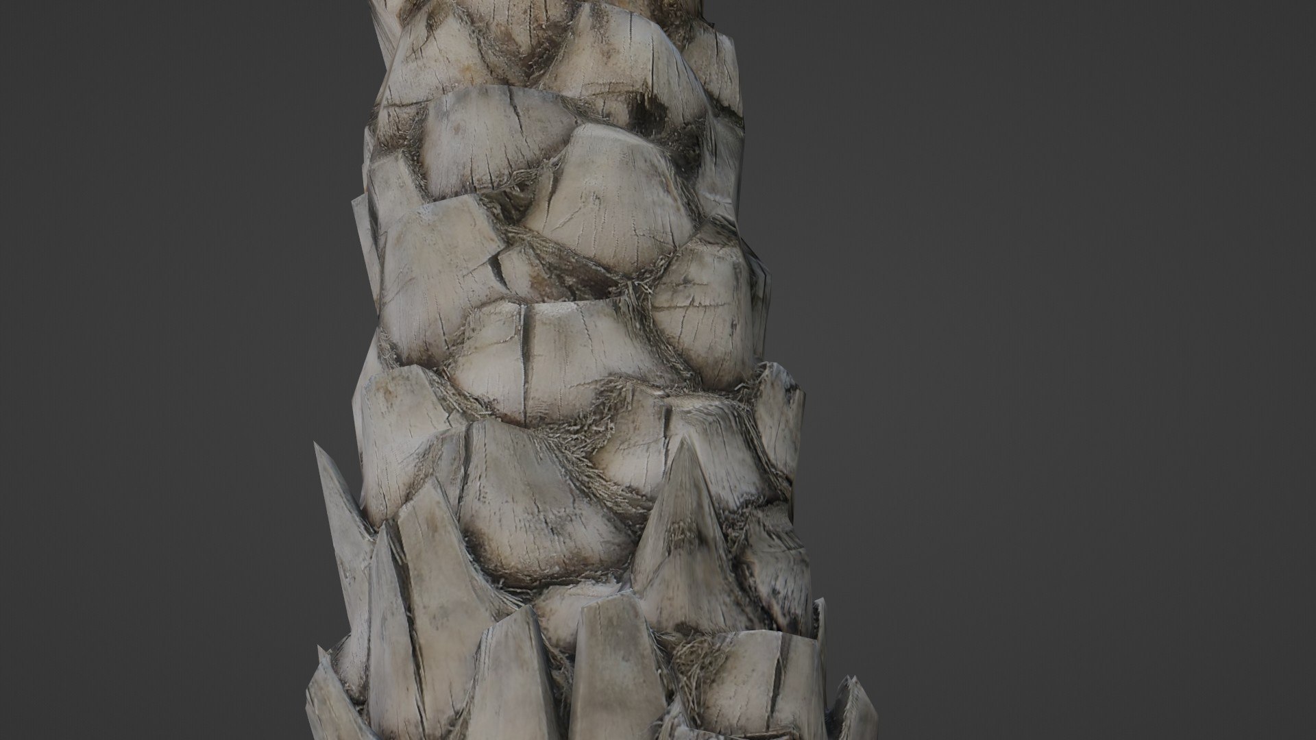 Palm Tree Model - TurboSquid 2332121
