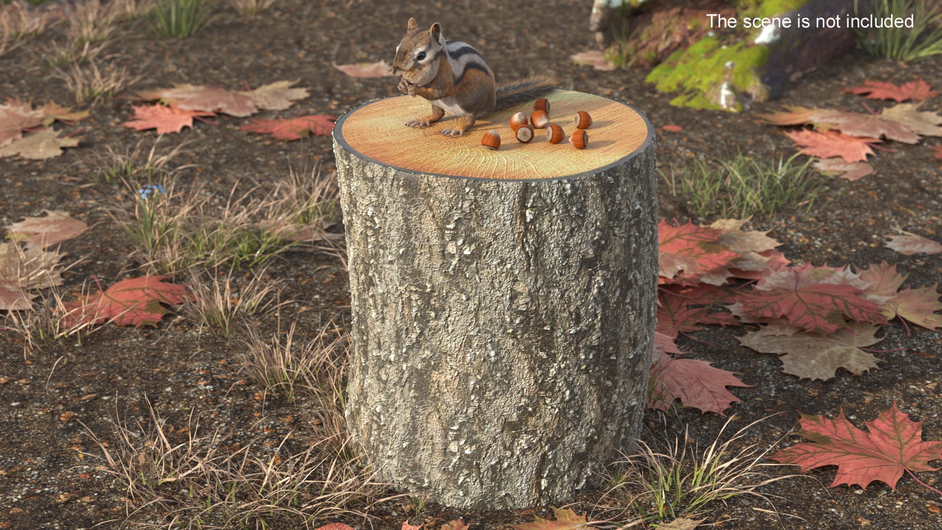 Chipmunk On Tree Stump With Nuts Fur 3D Model - TurboSquid 2433817