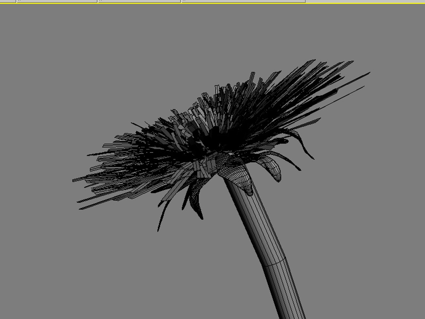 Flower Dandelion 3d Max
