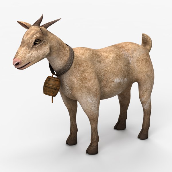 3d model goat