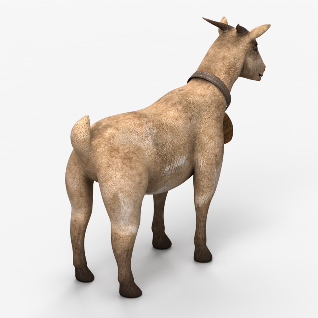 3d Model Goat