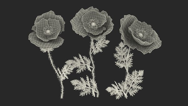 3D blooming poppy flower set model - TurboSquid 1580971