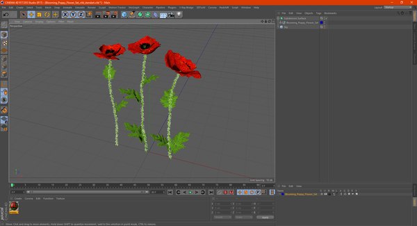 3D blooming poppy flower set model - TurboSquid 1580971
