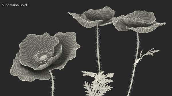 3D blooming poppy flower set model - TurboSquid 1580971