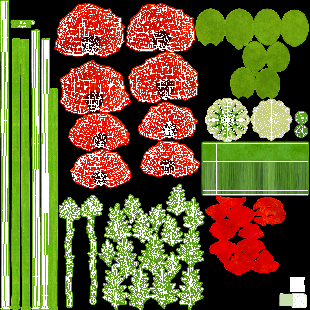 3D blooming poppy flower set model - TurboSquid 1580971