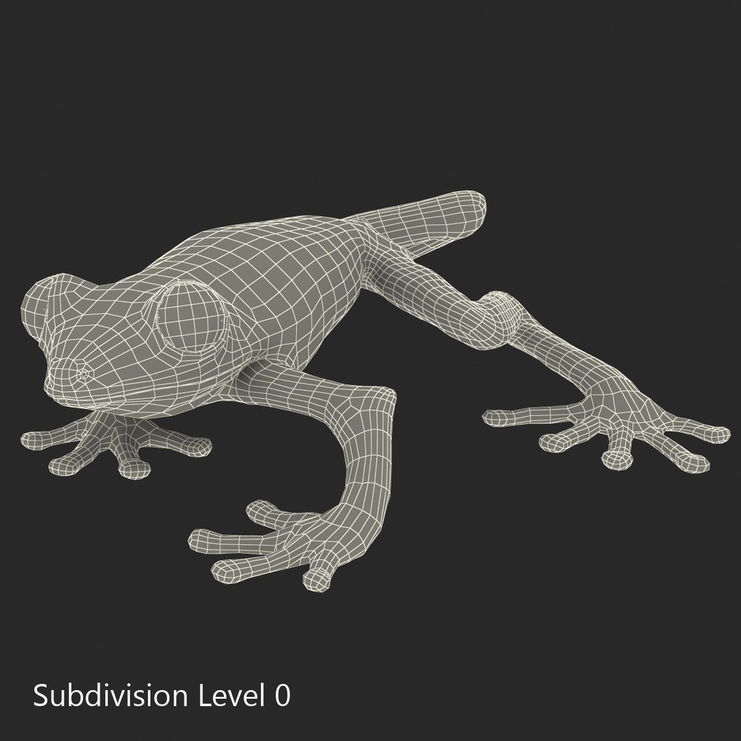 3d Model Red Eyed Tree Frog