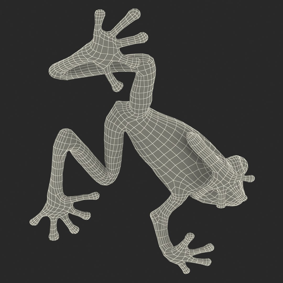 3d Model Red Eyed Tree Frog