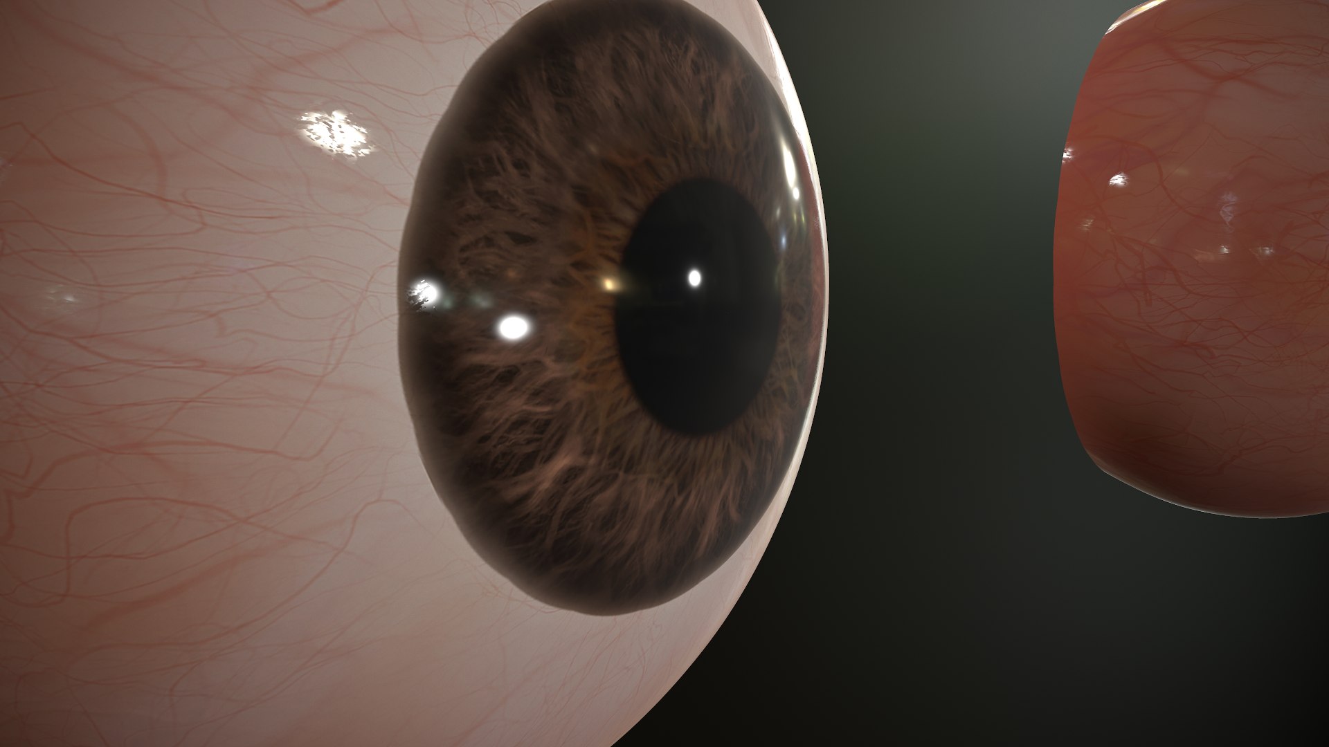 3D model realistic human eye pbr - TurboSquid 1338624