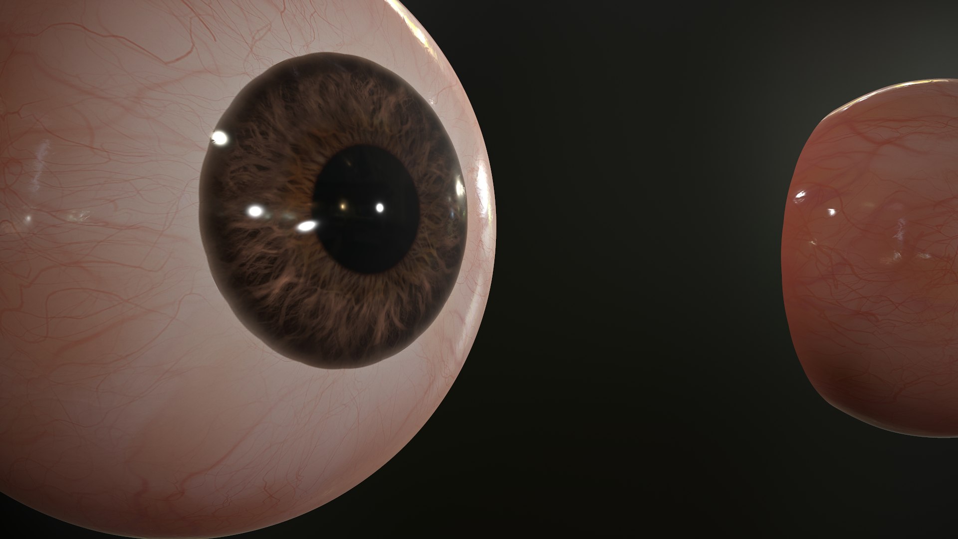 3D model realistic human eye pbr - TurboSquid 1338624