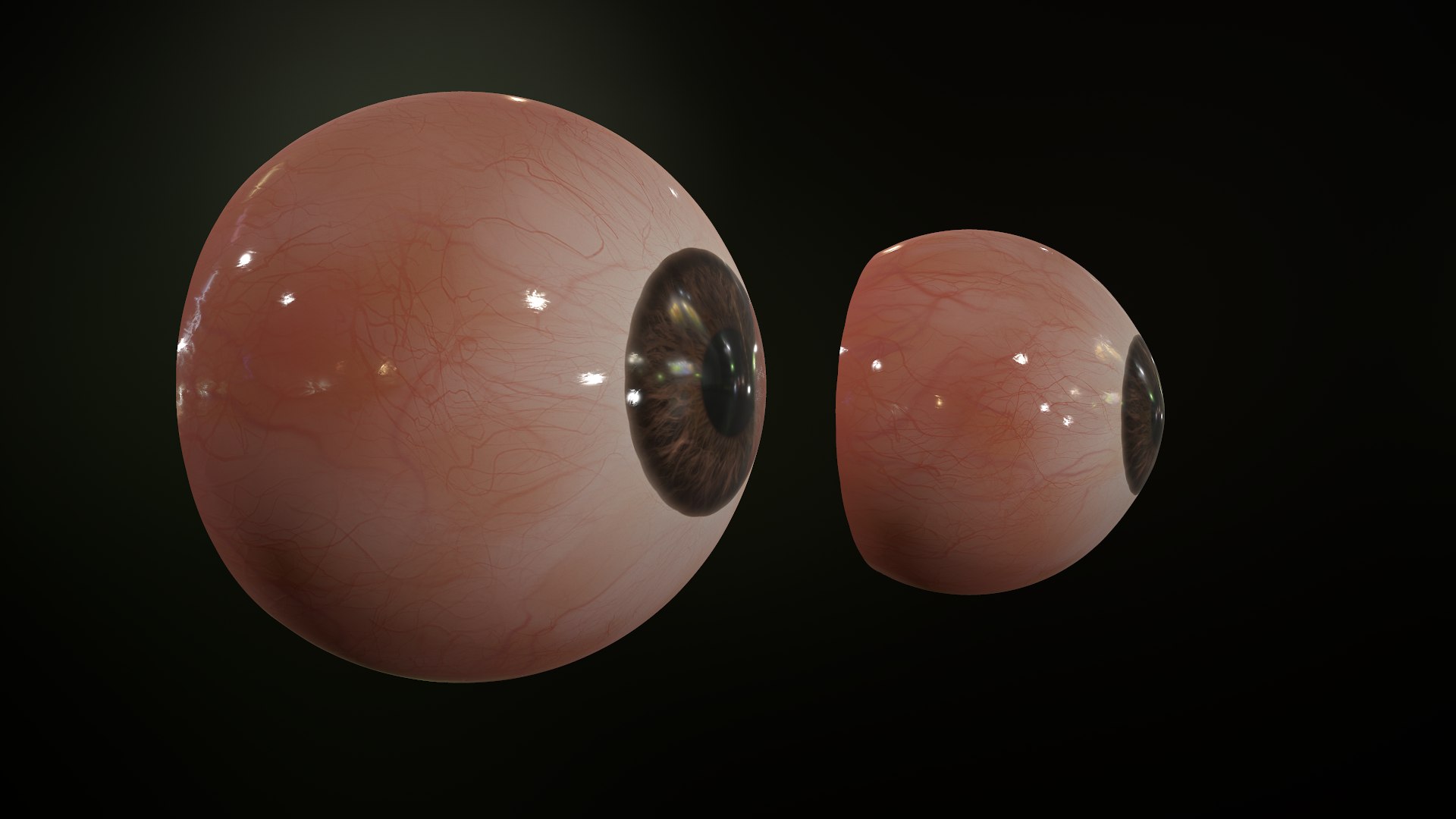 3D Model Realistic Human Eye Pbr - TurboSquid 1338624