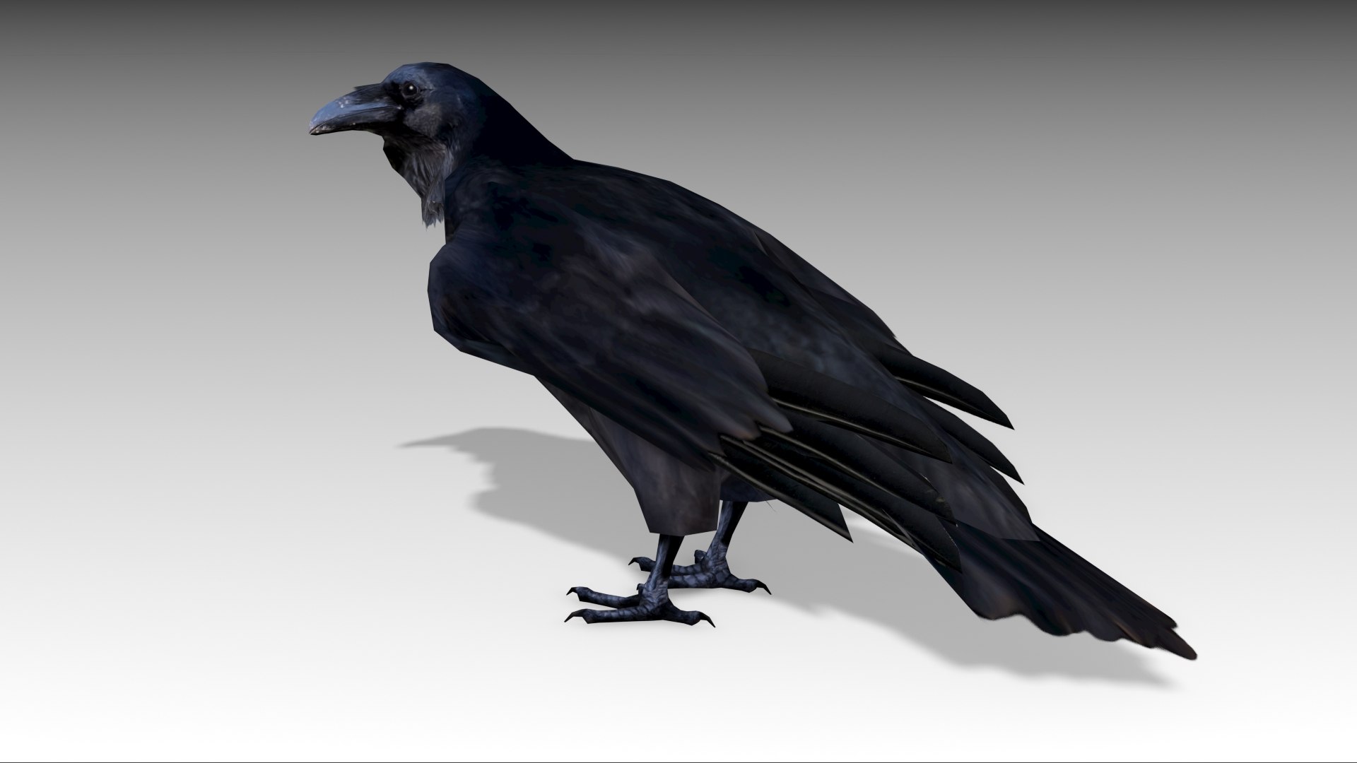 3D Model Raven - TurboSquid 1780666