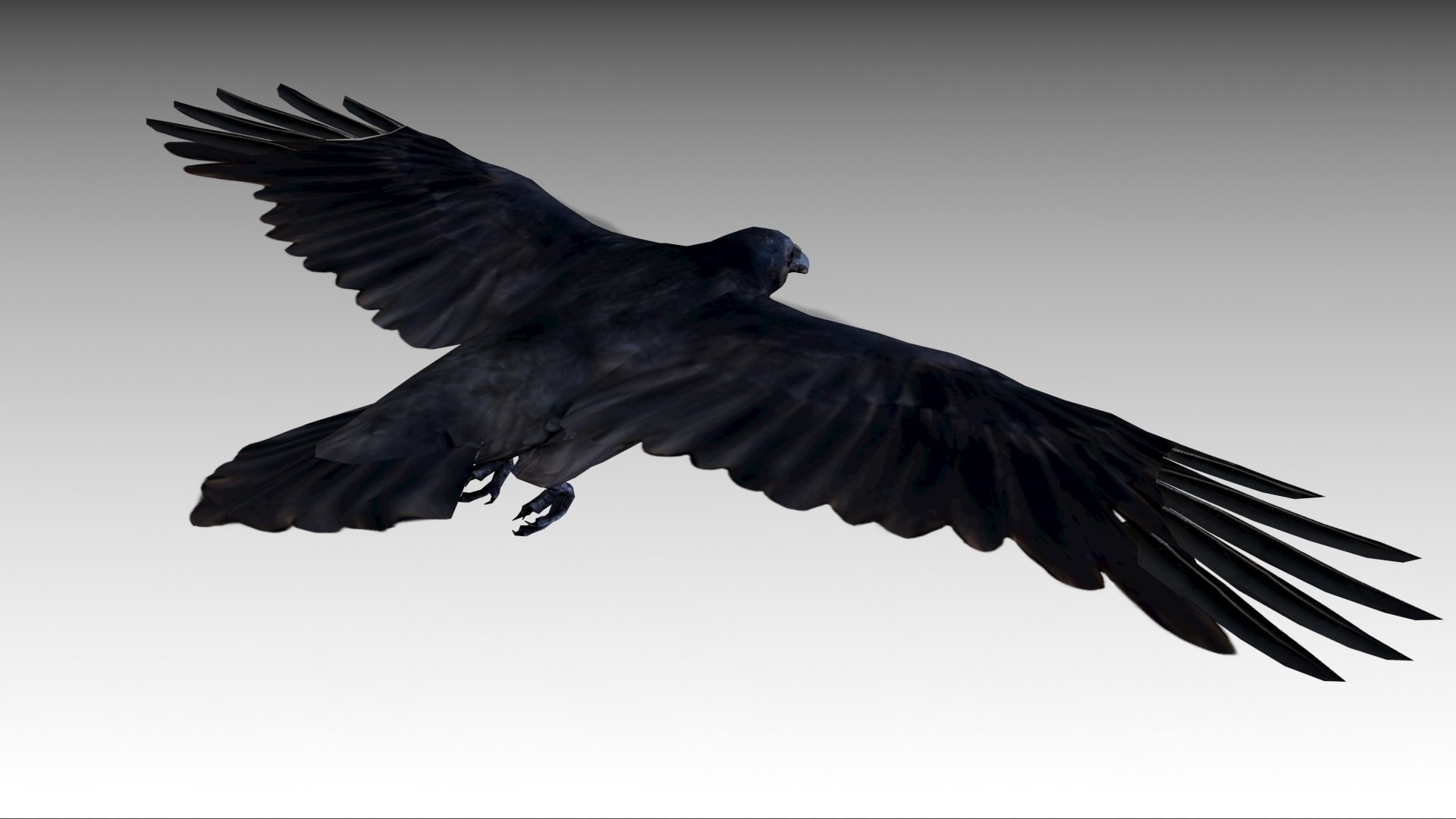 3D Model Raven - TurboSquid 1780666