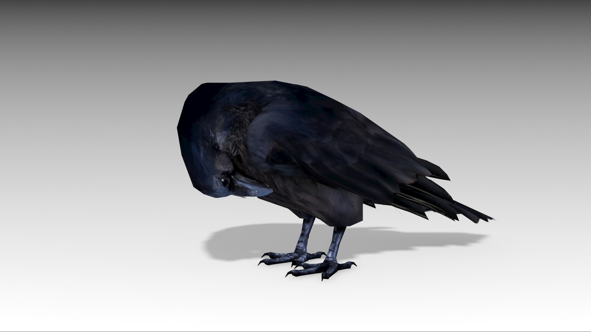 3D Model Raven - TurboSquid 1780666