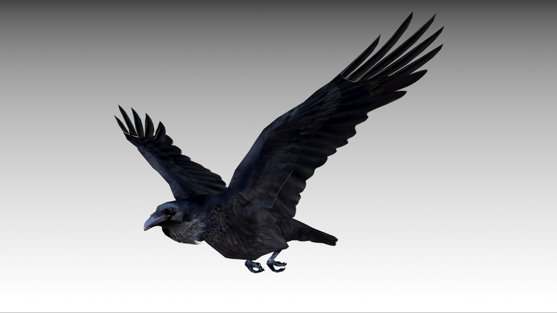 3D Model Raven - TurboSquid 1780666