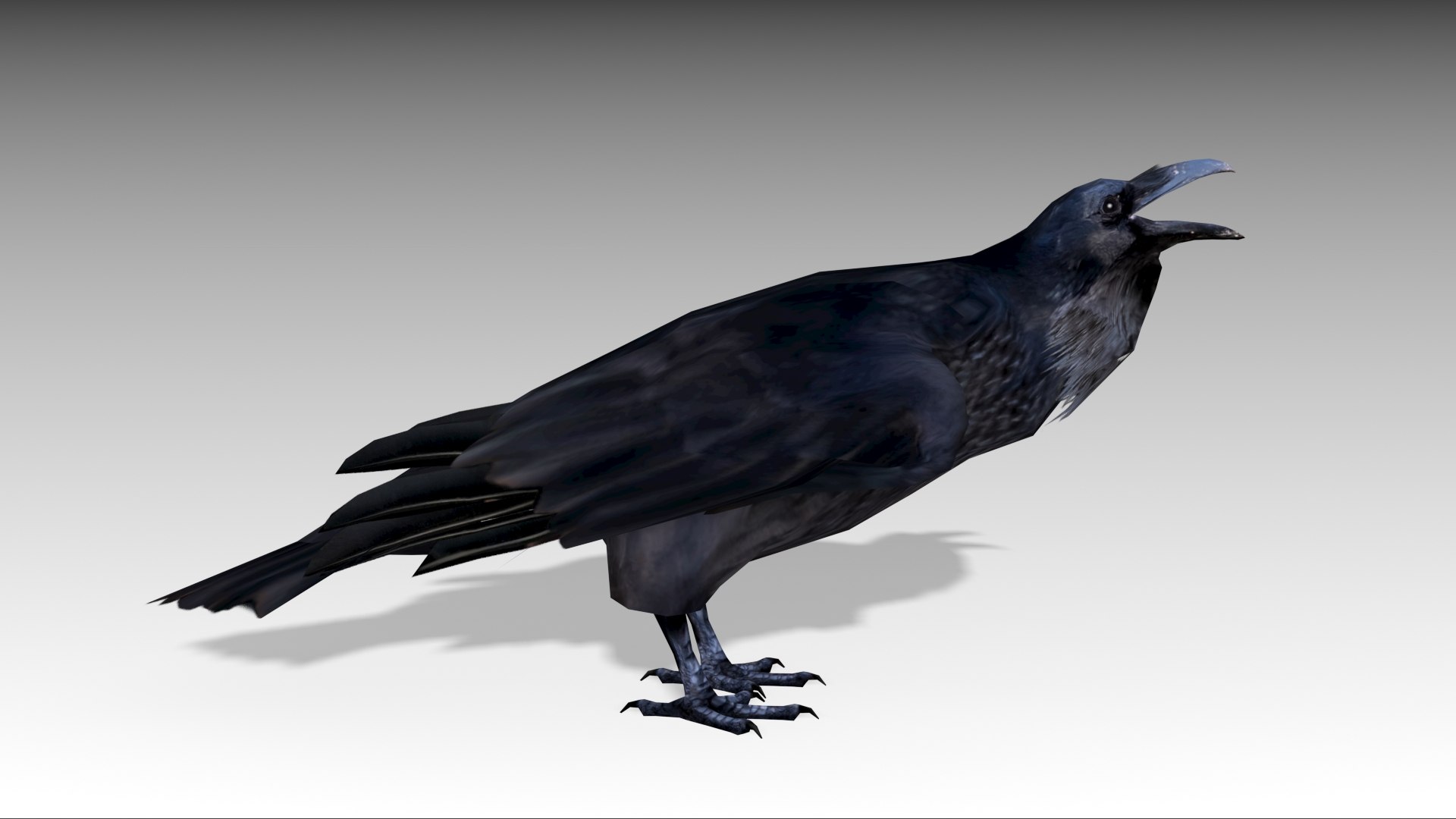 3D Model Raven - TurboSquid 1780666
