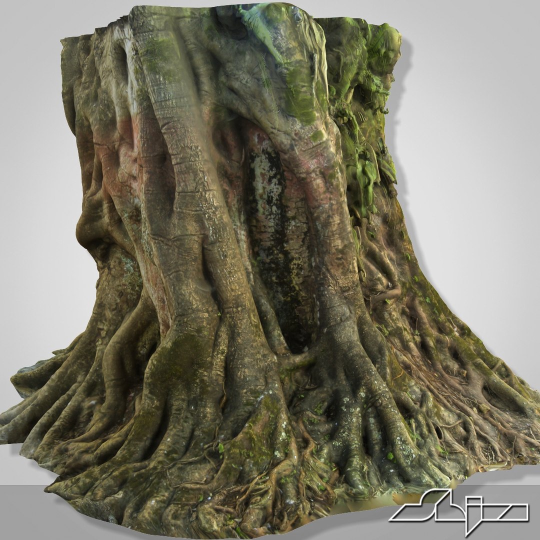 3d Tropical Tree Scan
