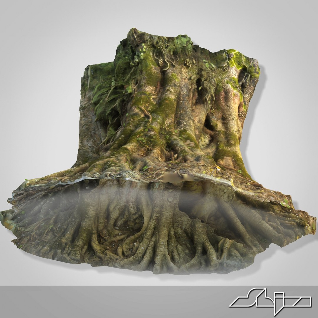 3d Tropical Tree Scan