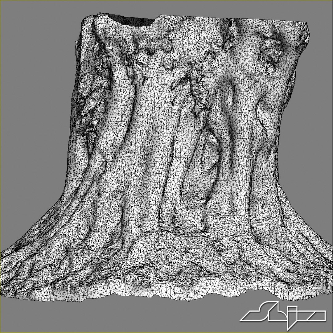 3d Tropical Tree Scan